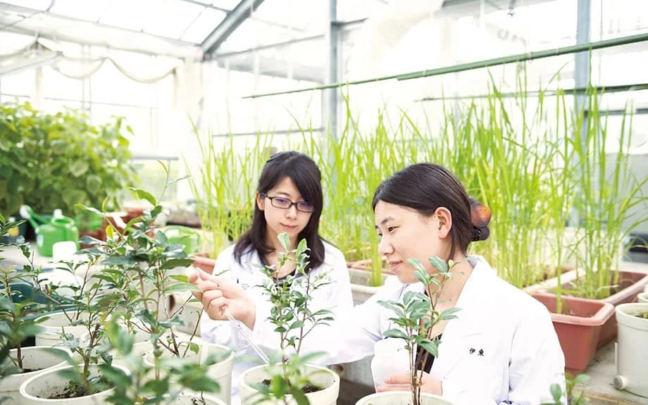 KUAS Photos -Kyoto University of Advanced Science